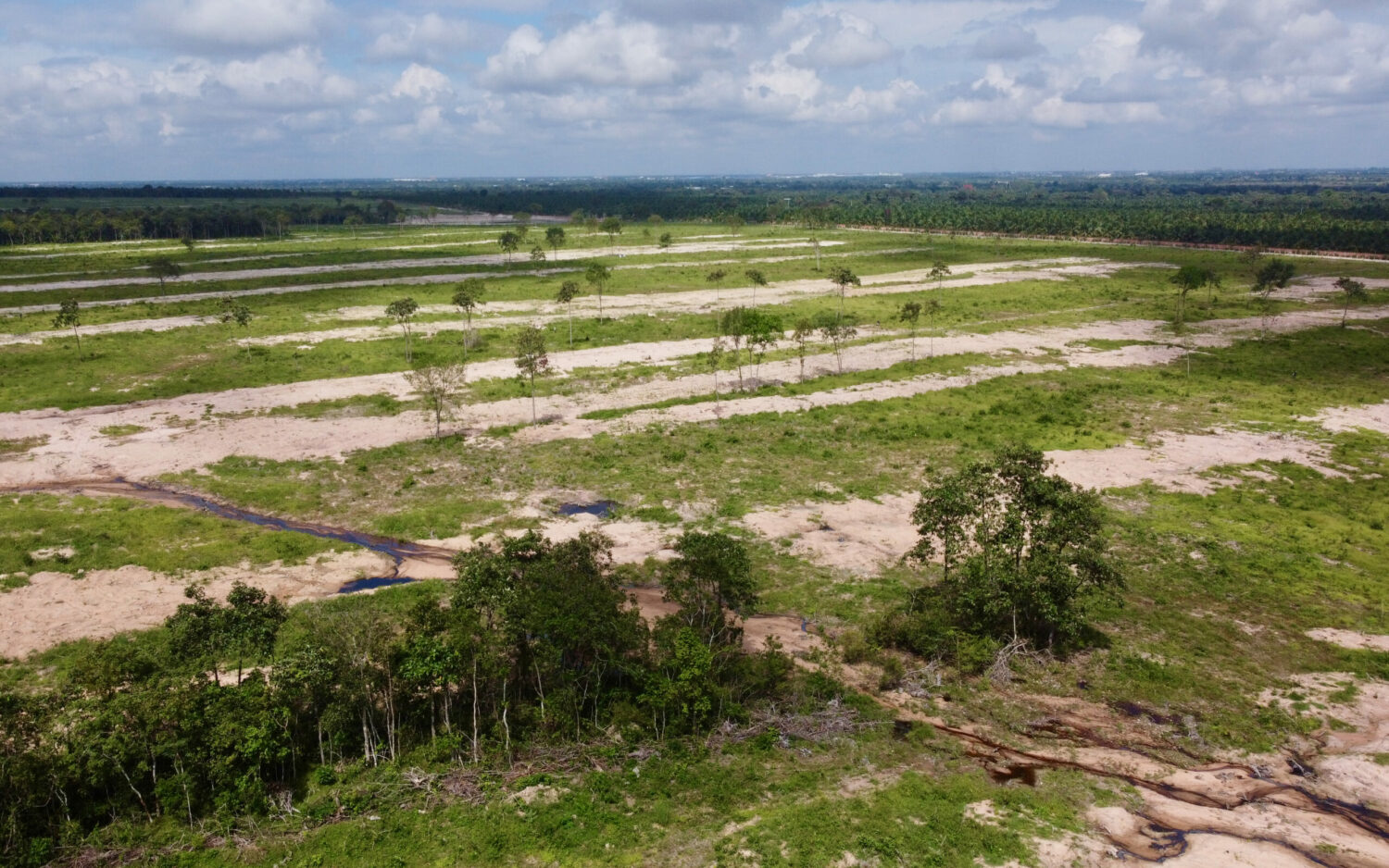 Cleared Phnom Tamao Forest Sculpted Into Park